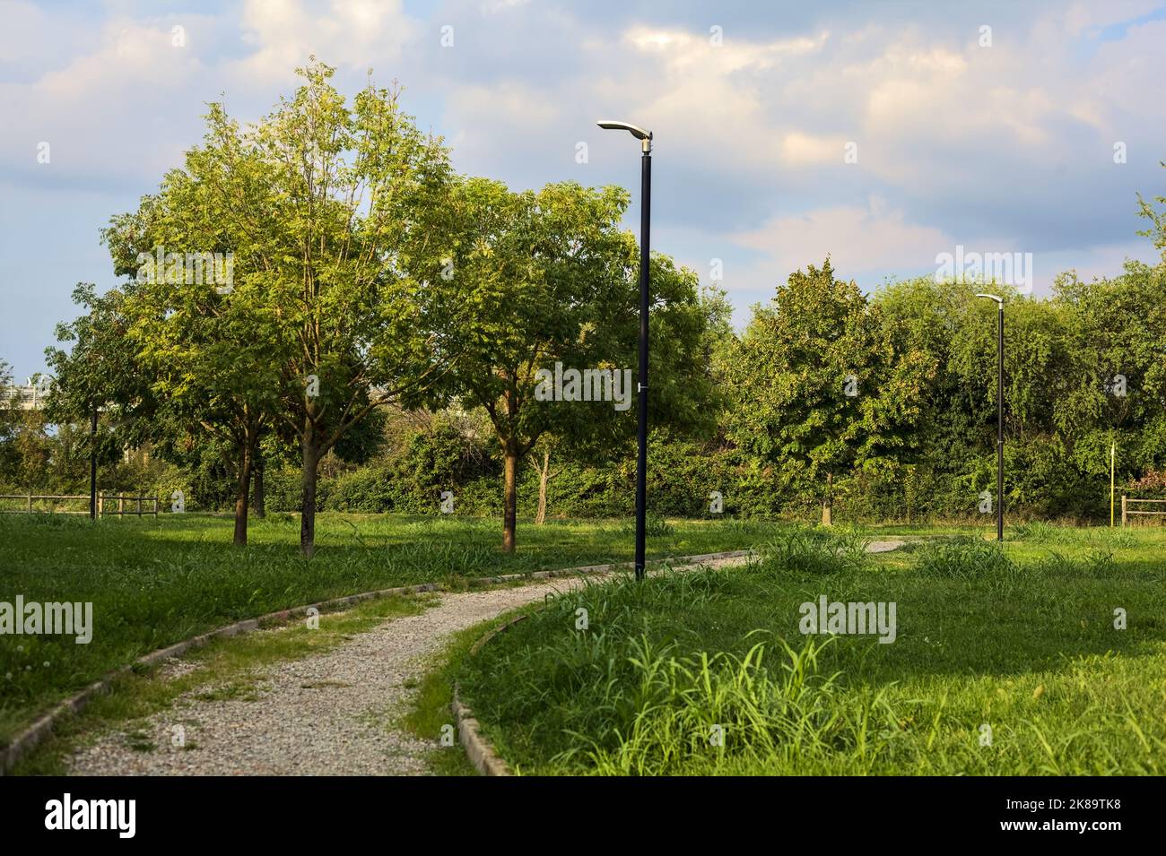 Paved path with trees at its edge in a park Stock Photo - Alamy