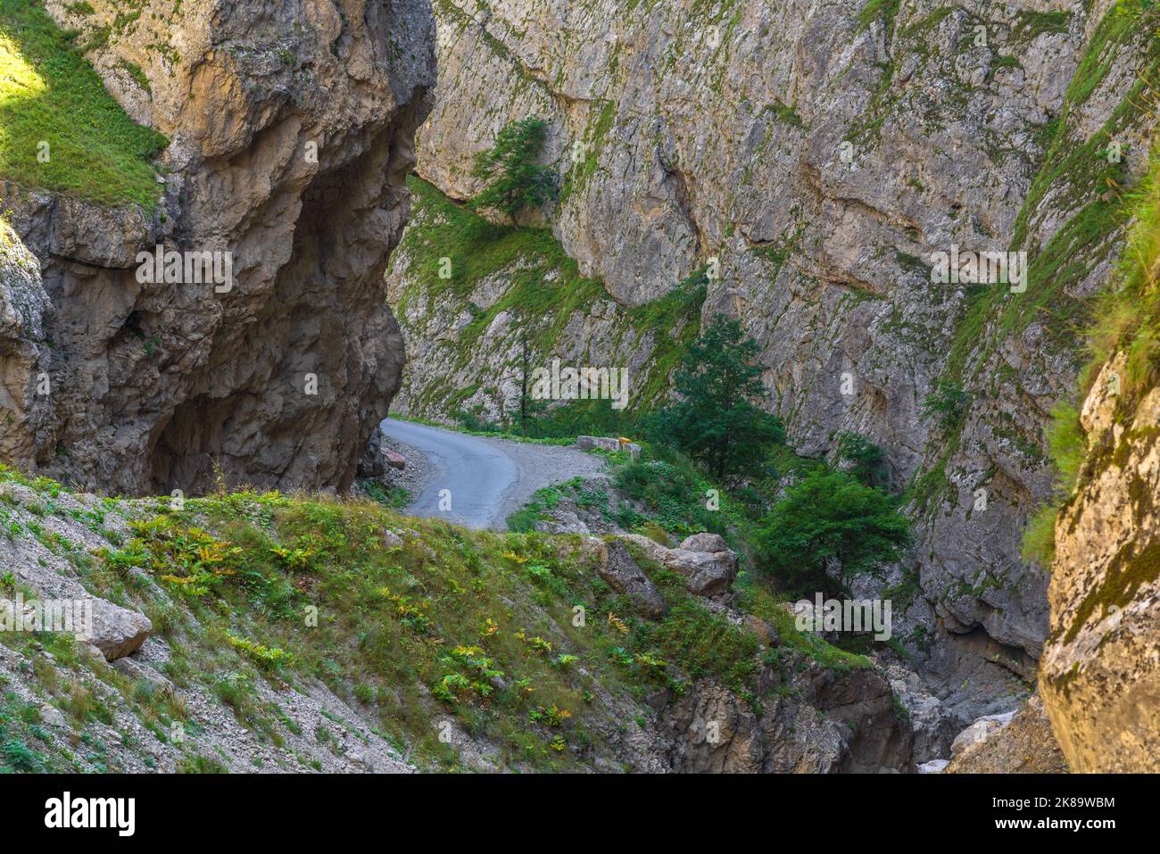 Narrow asphalt road hi-res stock photography and images - Alamy