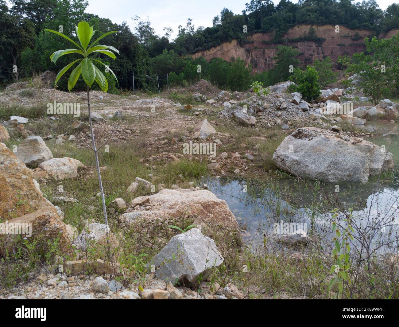 flooded rainwater at the quarry area Stock Photo - Alamy