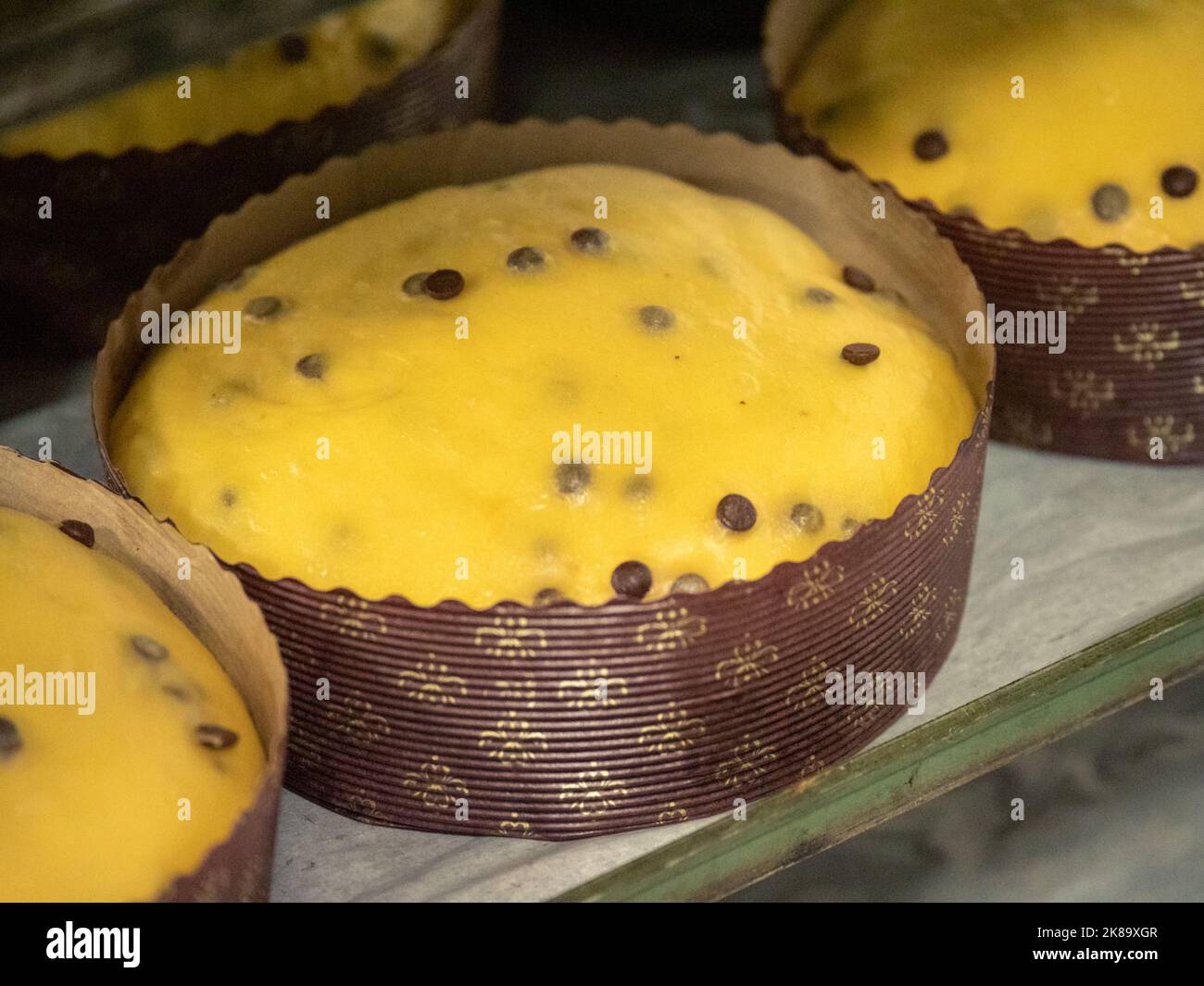 group of uncooked unbaked panettone sweet milanese italian chrstmas ...