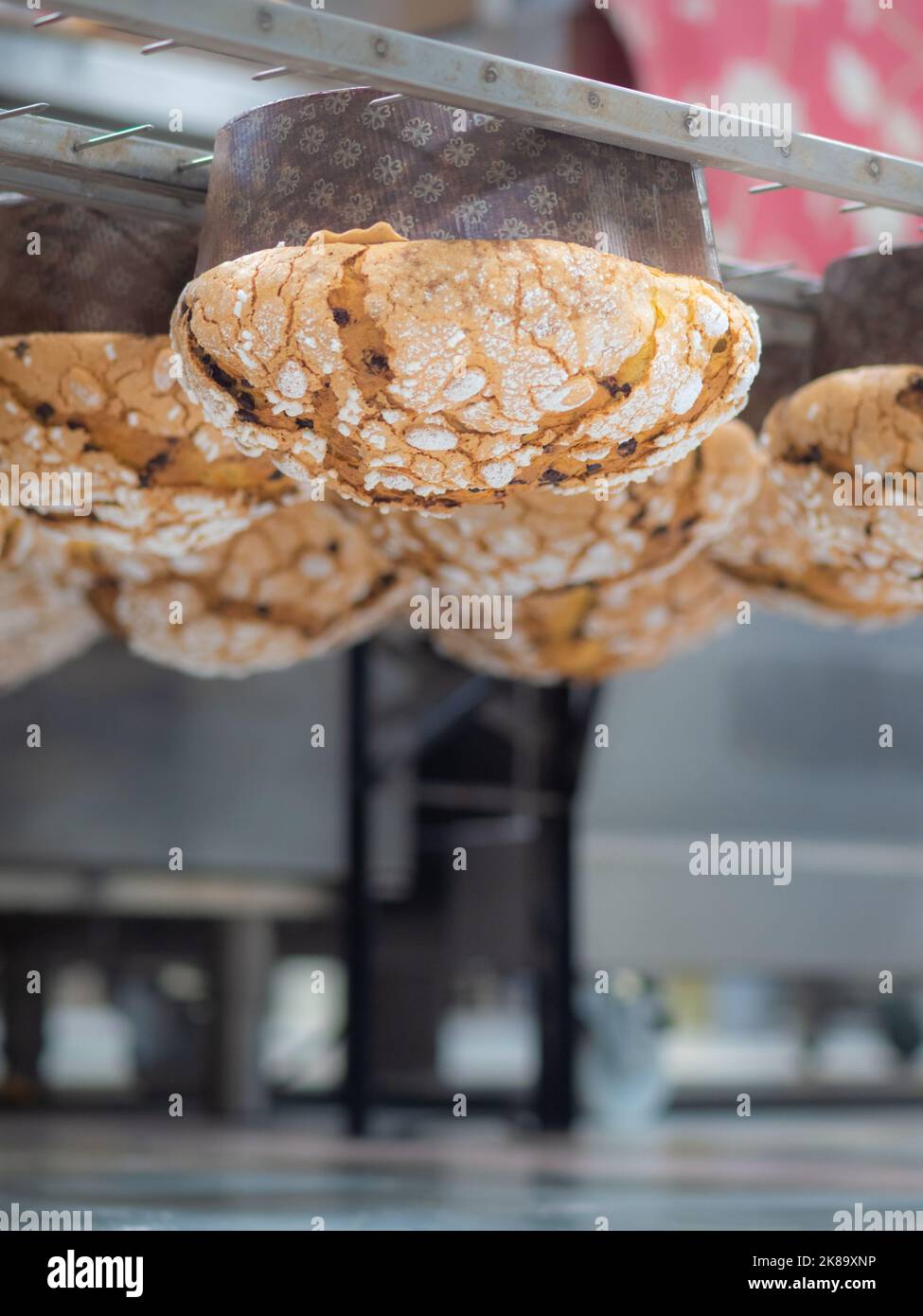 panettone cooking secrets concept hanging up down in the kitchen Stock ...