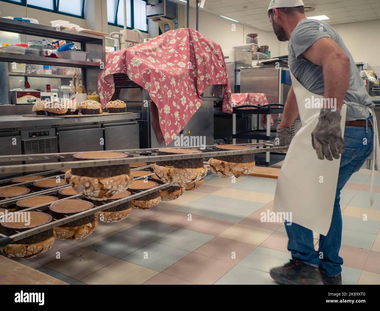 panettone cooking secrets concept hanging up down in the kitchen Stock ...
