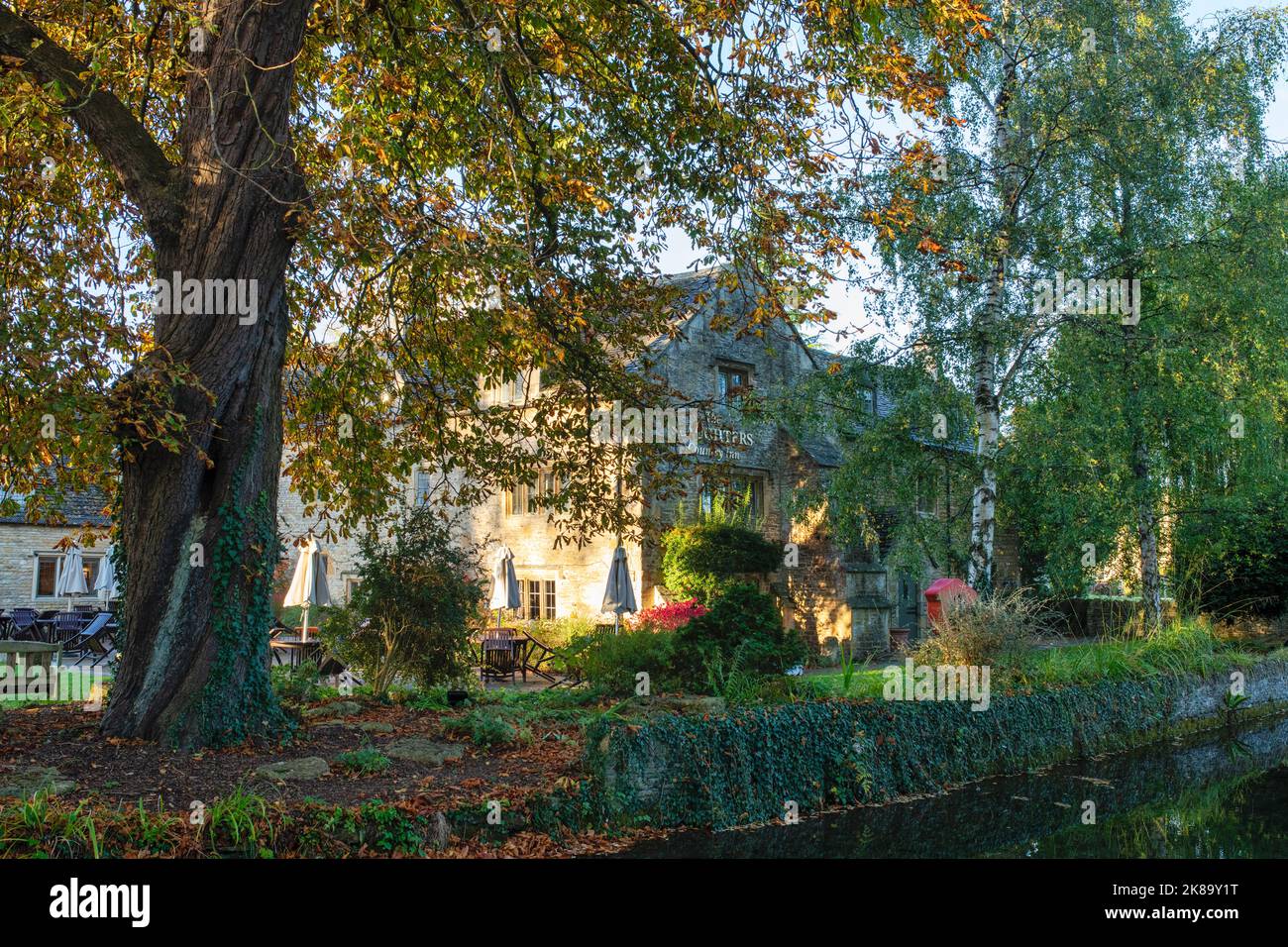 Aesculus hippocastanum. Horse Chestnut tree in autumn in front of The ...