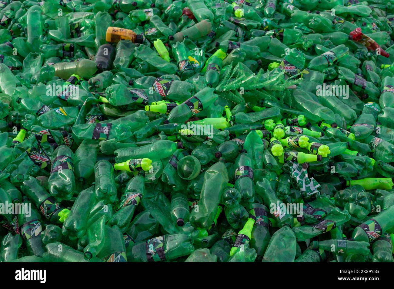 Discarded plastic bottles is a huge environmental problem Stock Photo ...