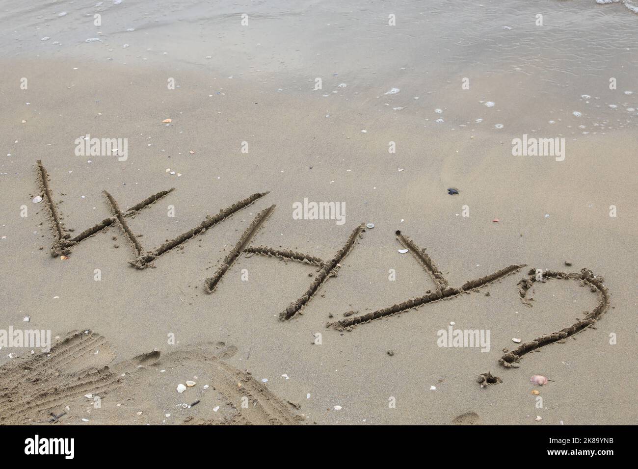 text with WHY and the question mark on the shore of the beach Stock ...
