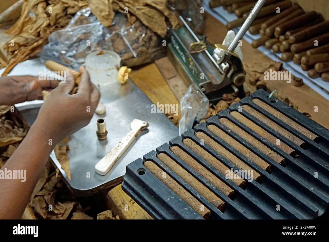 handmade cigars in the dominican republic Stock Photo - Alamy