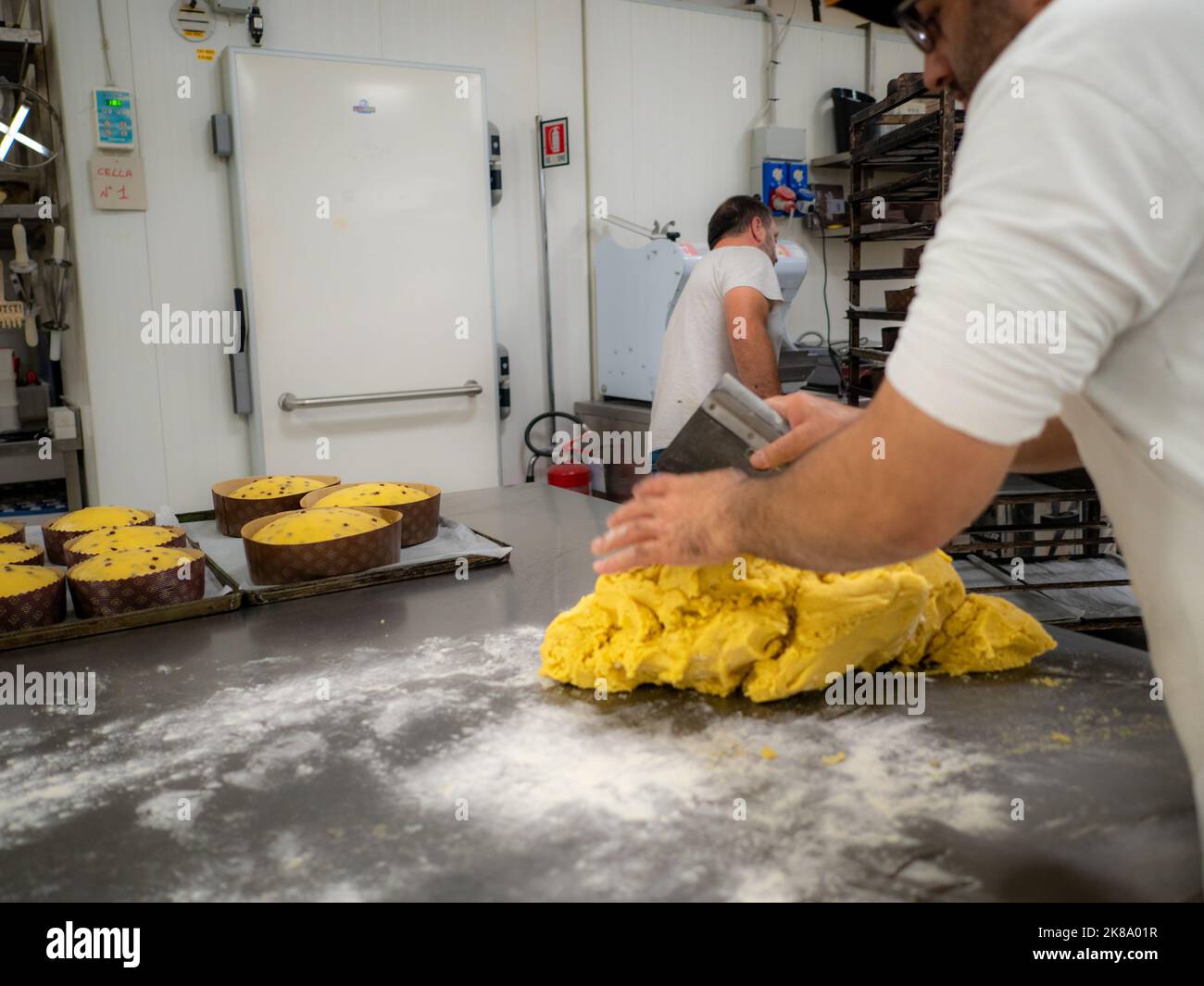 group of uncooked unbaked panettone sweet milanese italian chrstmas ...