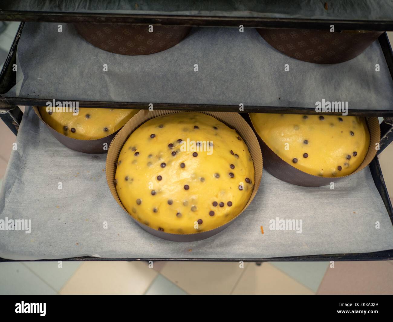 group of uncooked unbaked panettone sweet milanese italian chrstmas ...