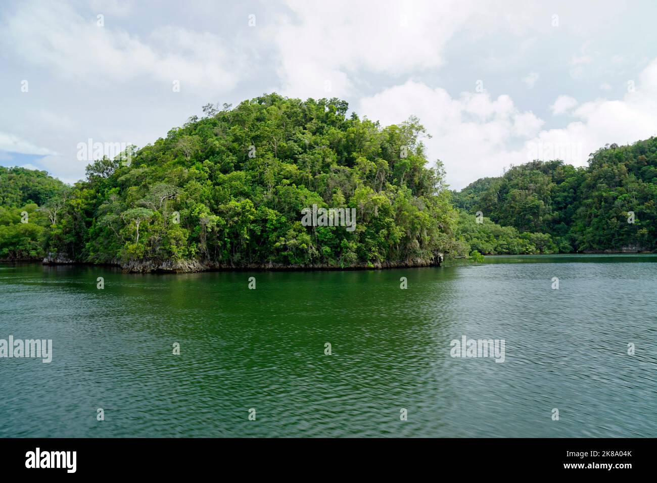 green bird island in the los haitises national park in the dominican ...