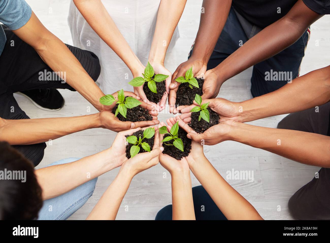 Helping new life to grow. a diverse group of people holding seedlings ...