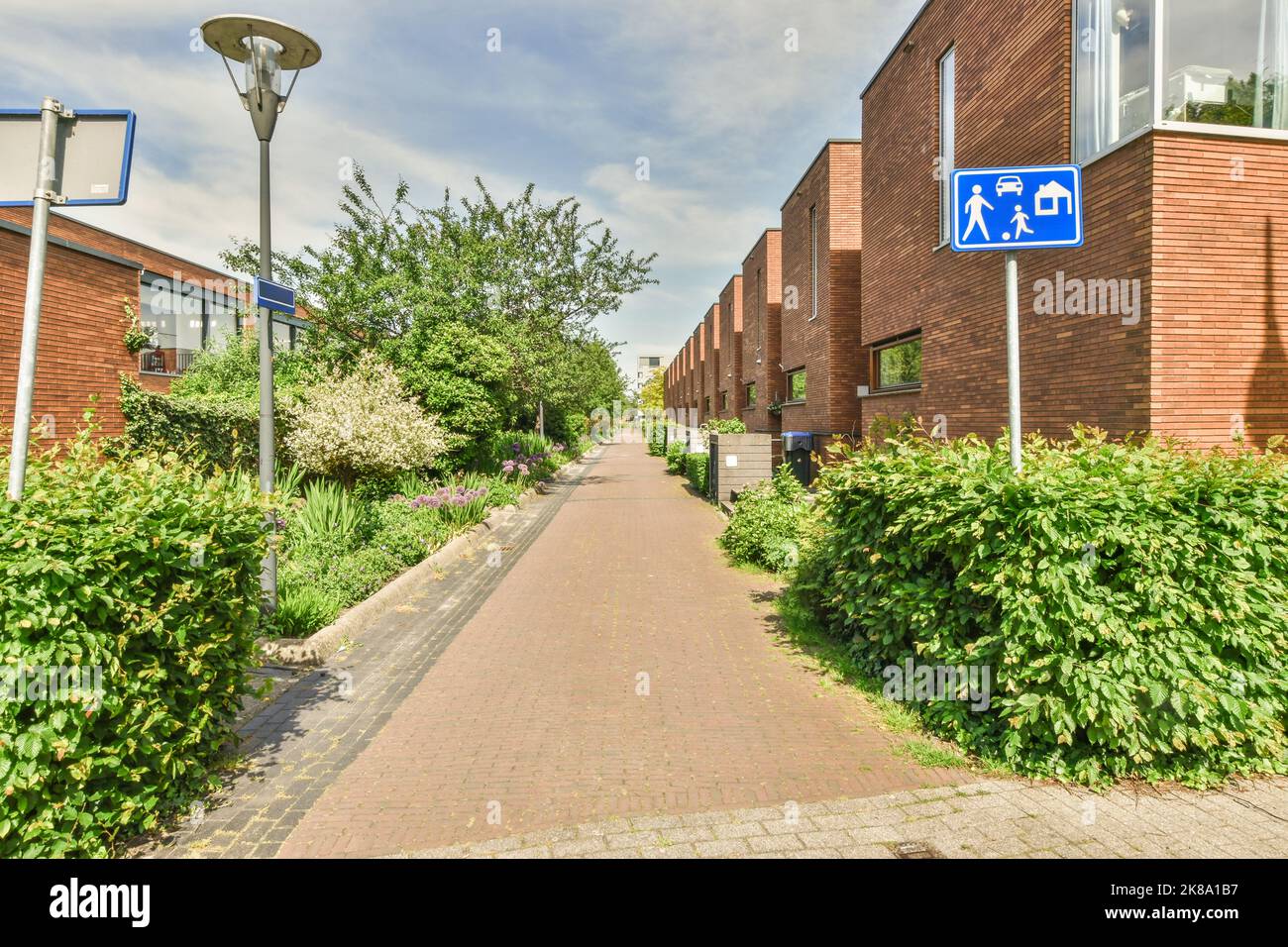 View of street near building with beauty of vegitation outside Stock ...
