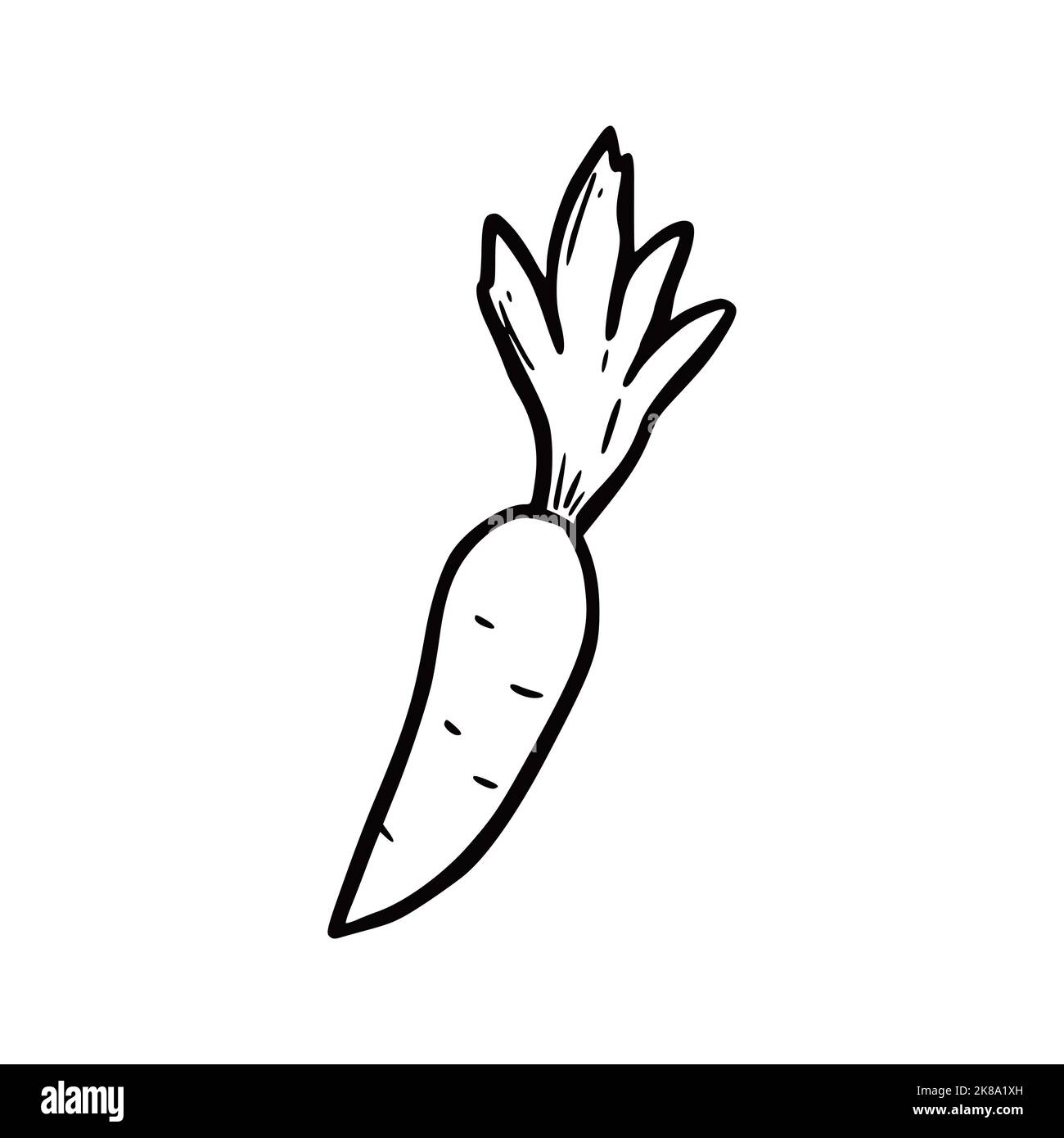 Hand drawn carrot. Doodle sketch style. Drawing line simple carrot icon ...