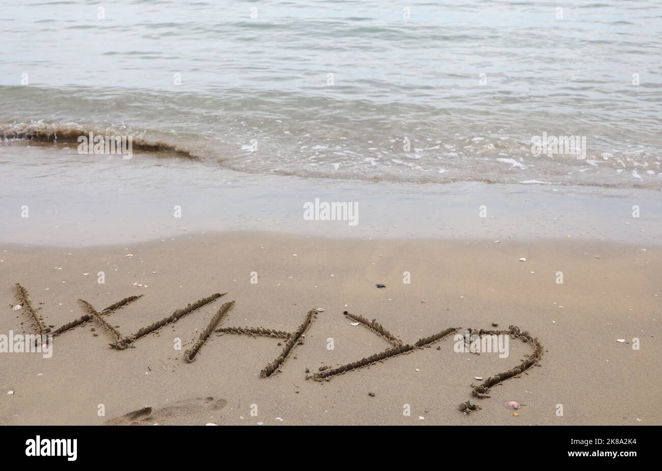 Big text with WHY and the question mark on the shore of the beach Stock ...