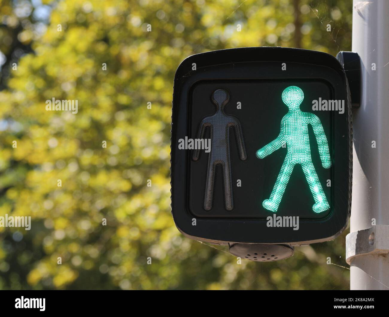 bright green traffic light man in the city symbolizing that you can ...