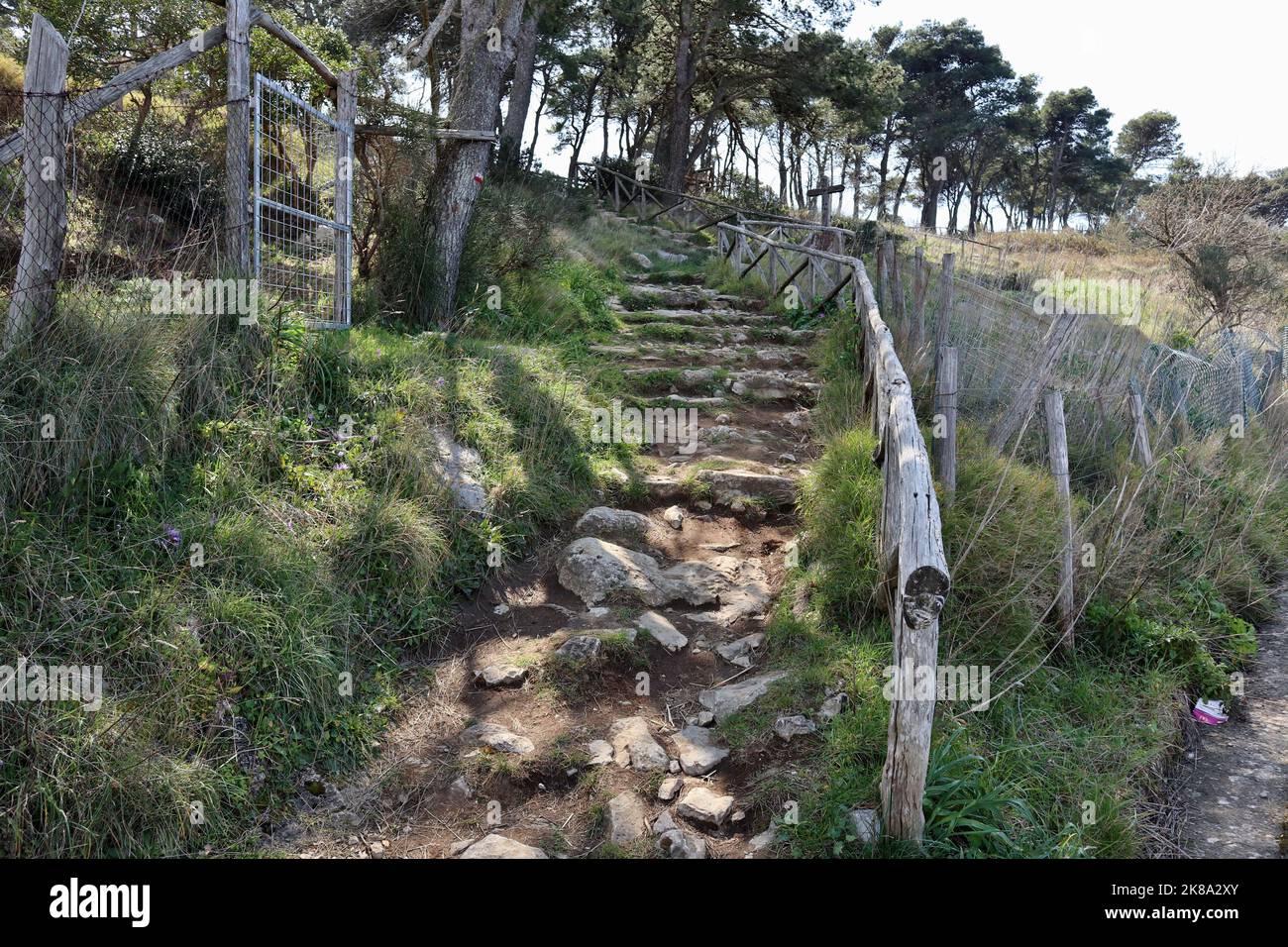 Sentiero boschivo hi-res stock photography and images - Alamy