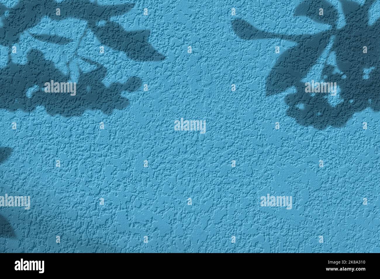 Shadow of leaves on pastel blue concrete wall texture background Stock ...