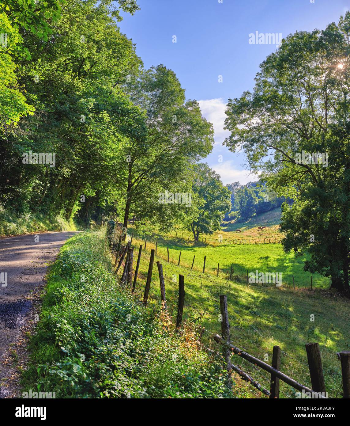 Countryside, farmland and forest - close to Lyon, France. A series of ...