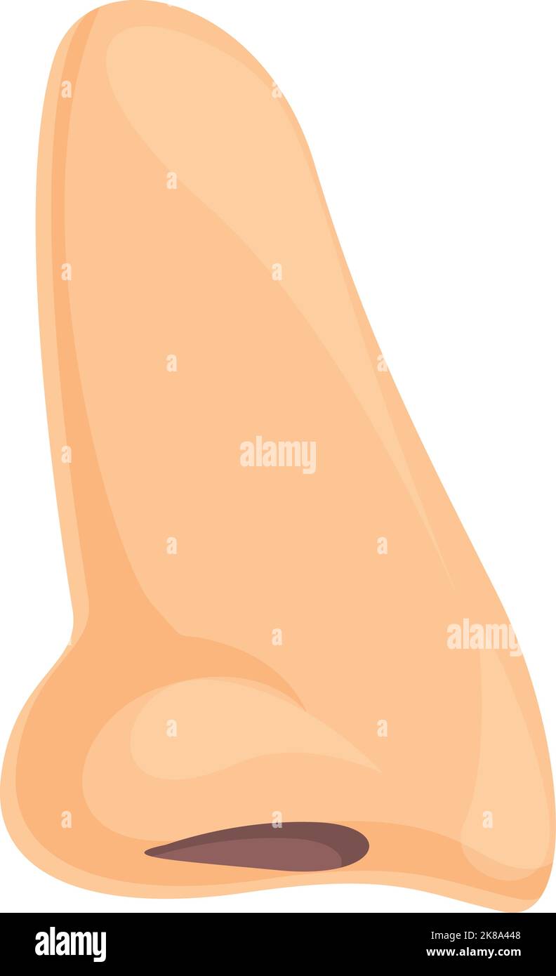 Rhinoplasty procedure icon cartoon vector. Nose surgery. Plastic ...