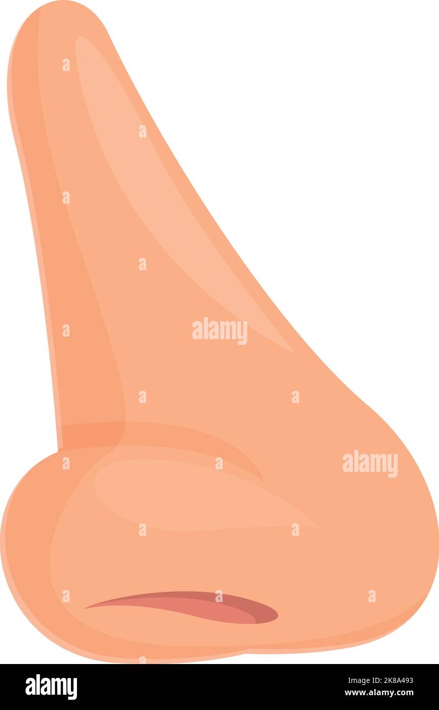 Septum rhinoplasty icon cartoon vector. Nose surgery. Nasal skin Stock ...