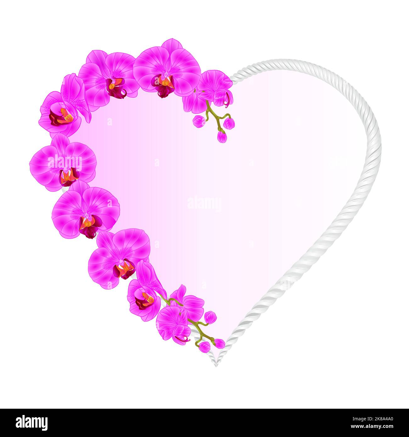 Frame Heart shaped orchid Phalaenopsis purple flowers tropical plants ...
