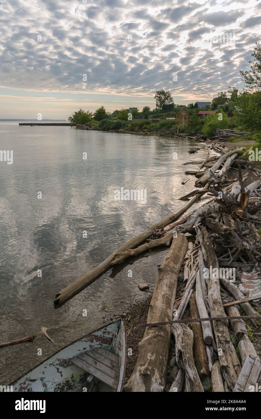 close view of snags at the river shore in the morning with beauty of ...