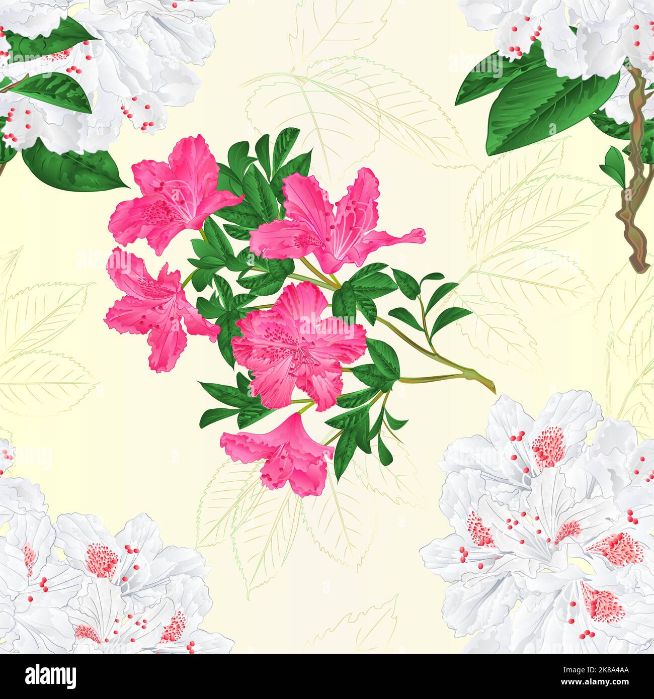 Seamless texture twig white and pink flower rhododendron vintage vector ...