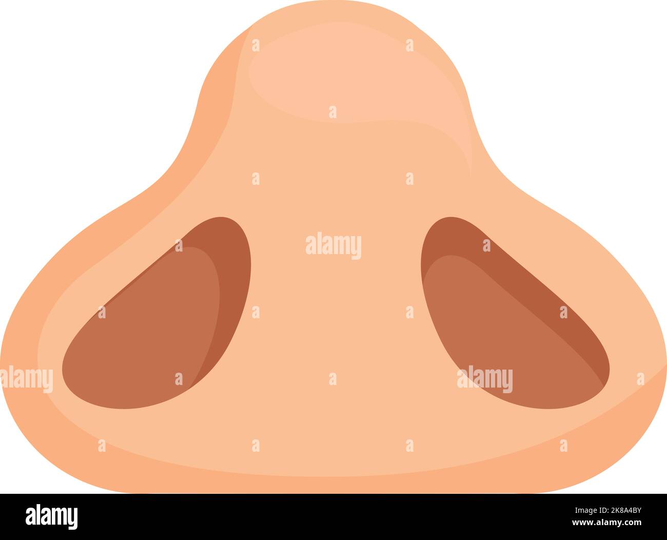 Beauty rhinoplasty icon cartoon vector. Nose surgery. Anatomy face ...