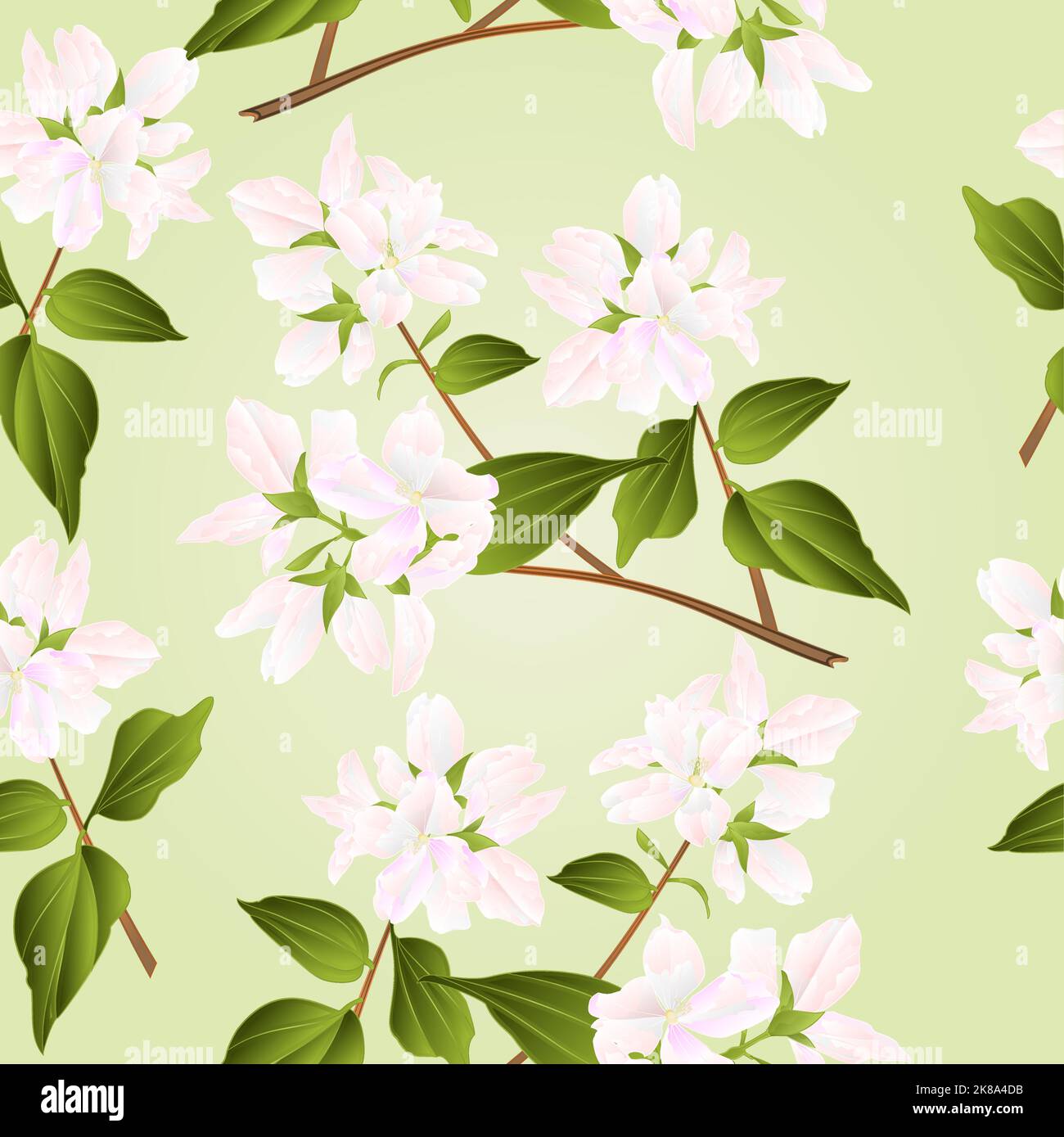 Shrub with blue flowers Stock Vector Images - Alamy