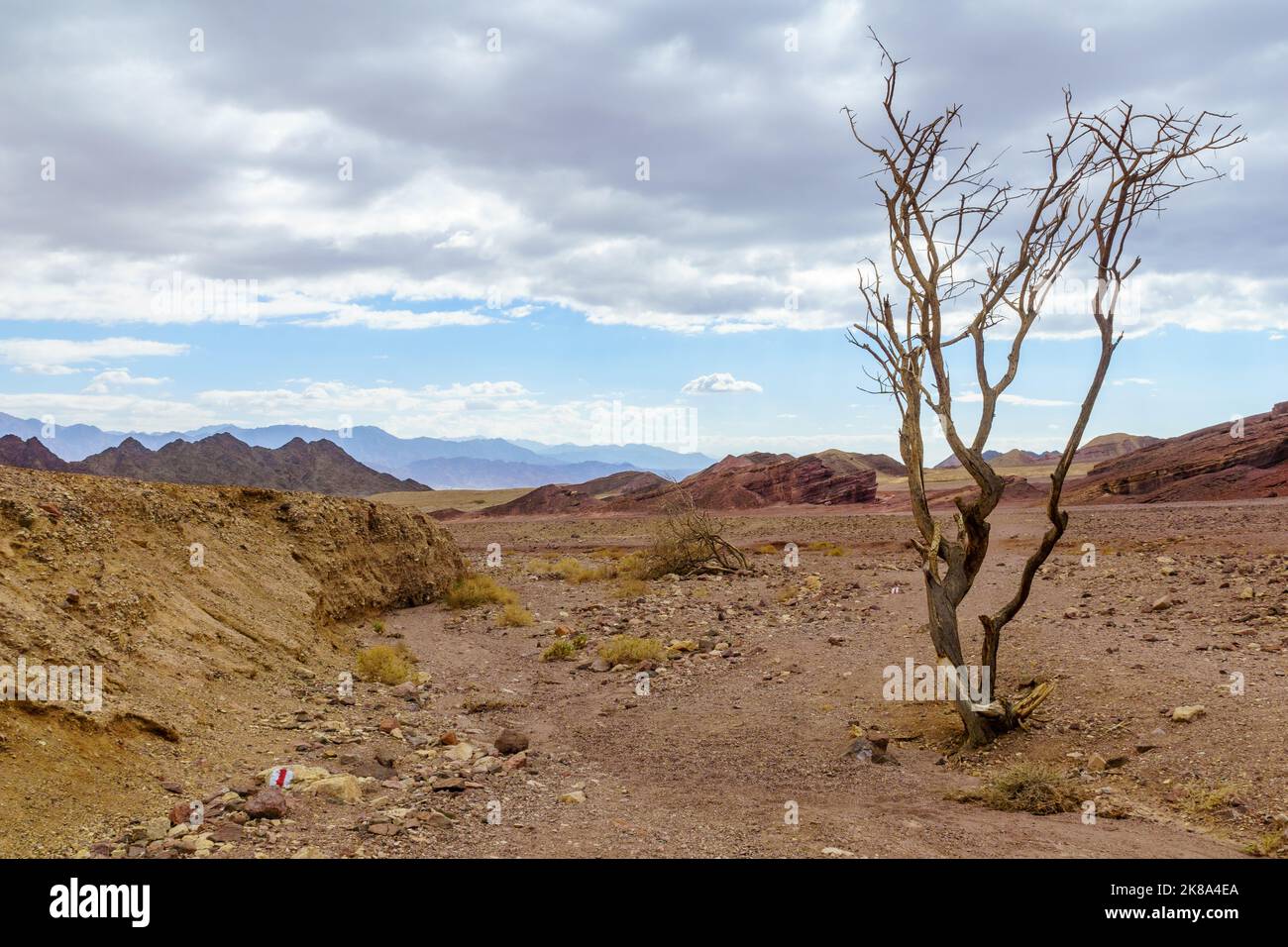 Winter view of Arava desert valley landscape near the Shkhoret Canyon ...