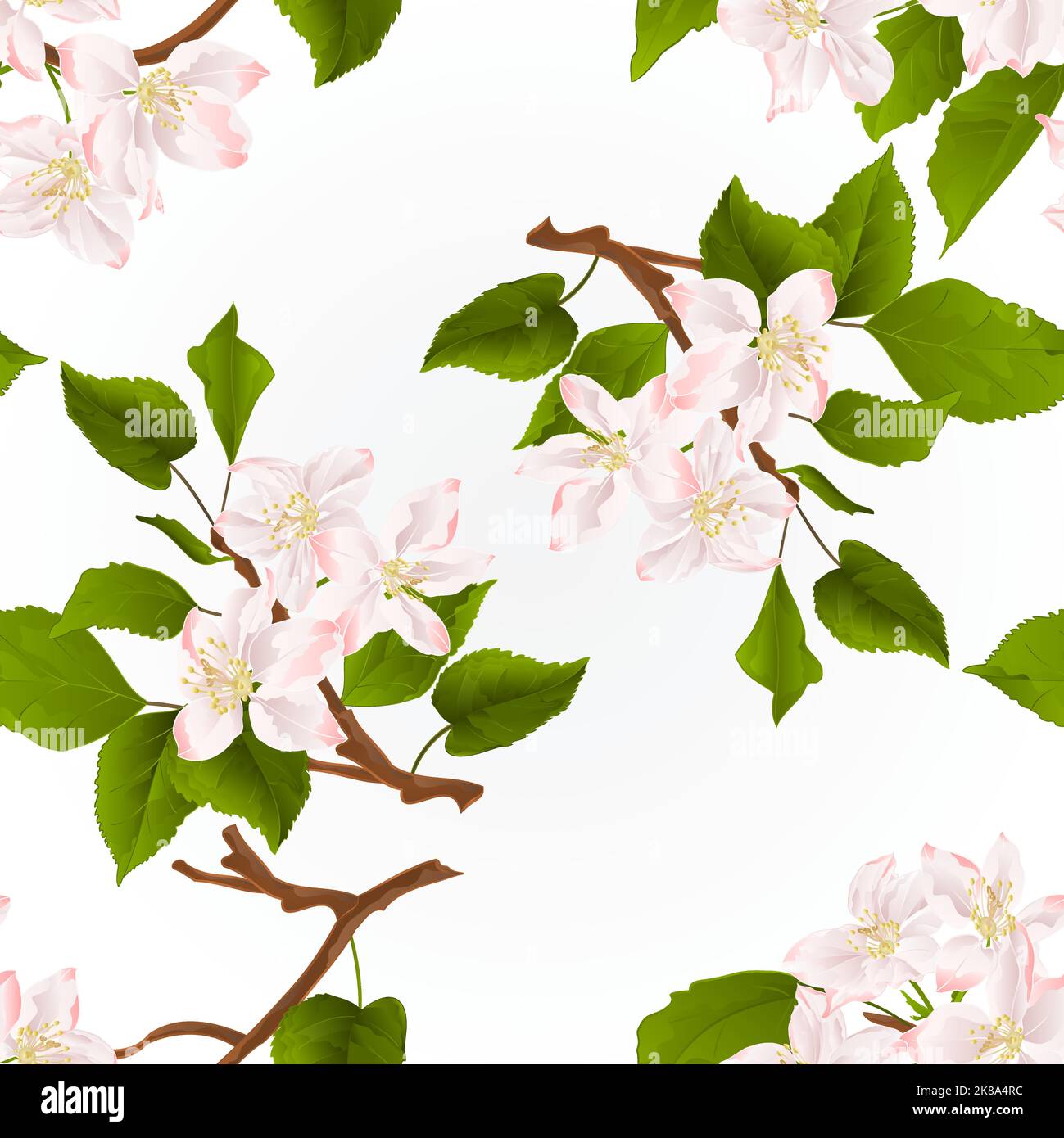 Seamless texture Apple tree branch with flowers nature background ...