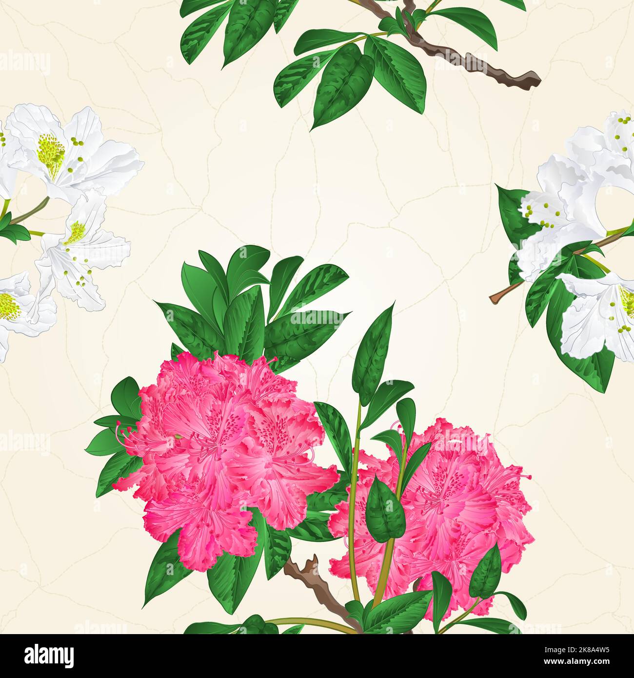 Seamless texture flowers pink and white rhododendrons twig Mountain ... Seamless texture flowers pink and white rhododendrons twig Mountain ...