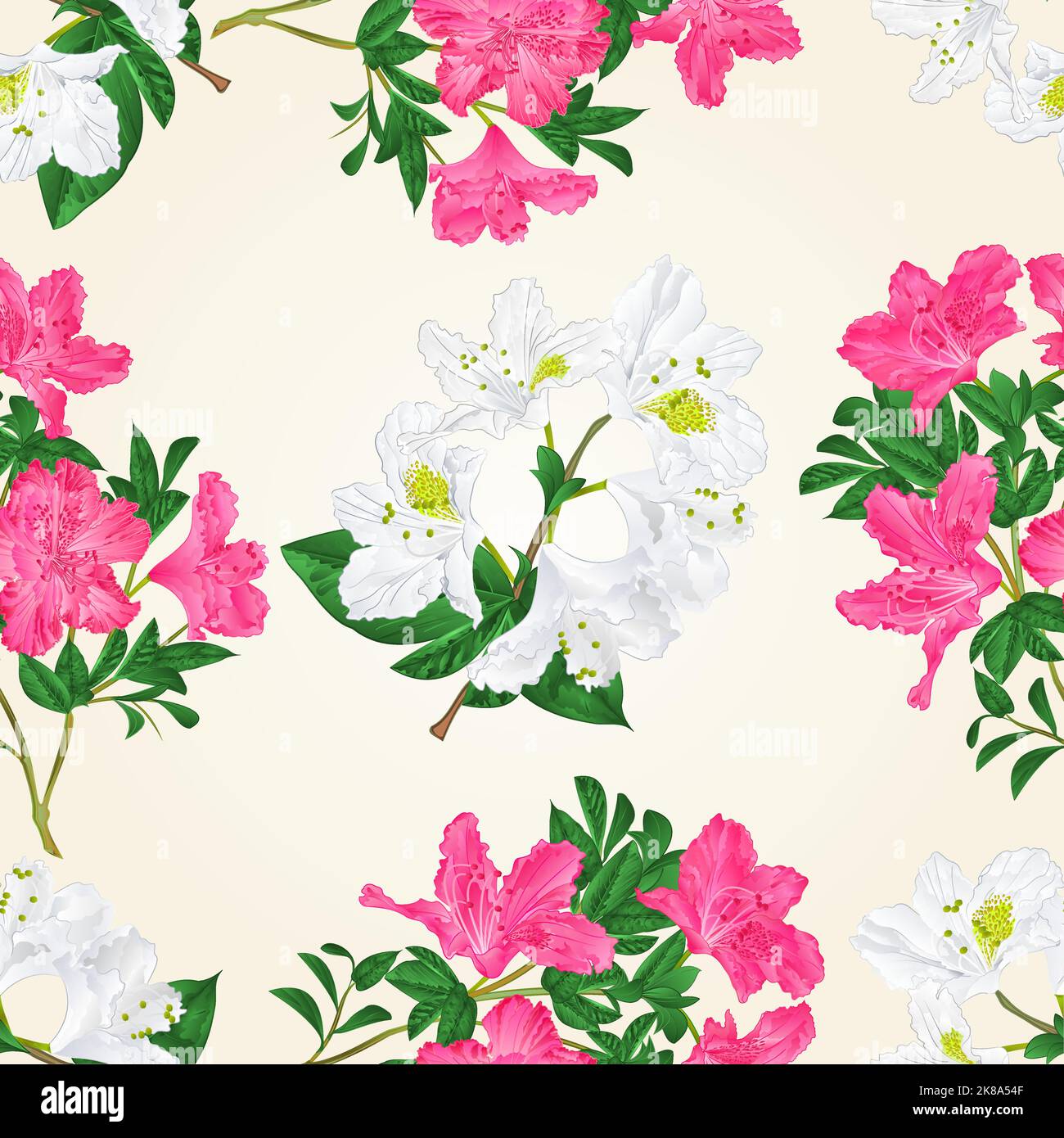 Seamless texture pink and white flowers rhododendron twig with leaves ...