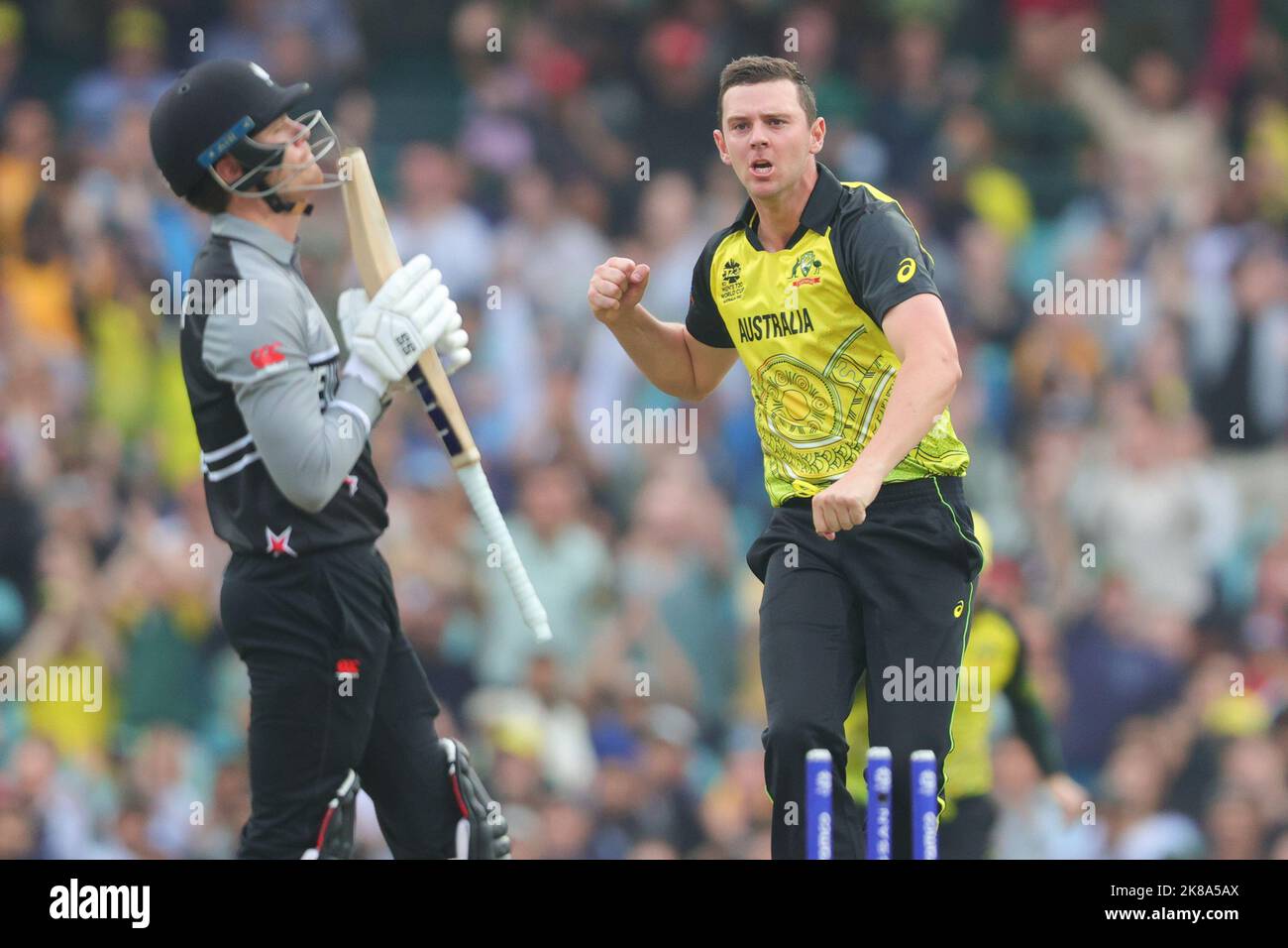 Sydney, Australia. 22nd Oct, 2022. Josh Hazelwood of Australia ...