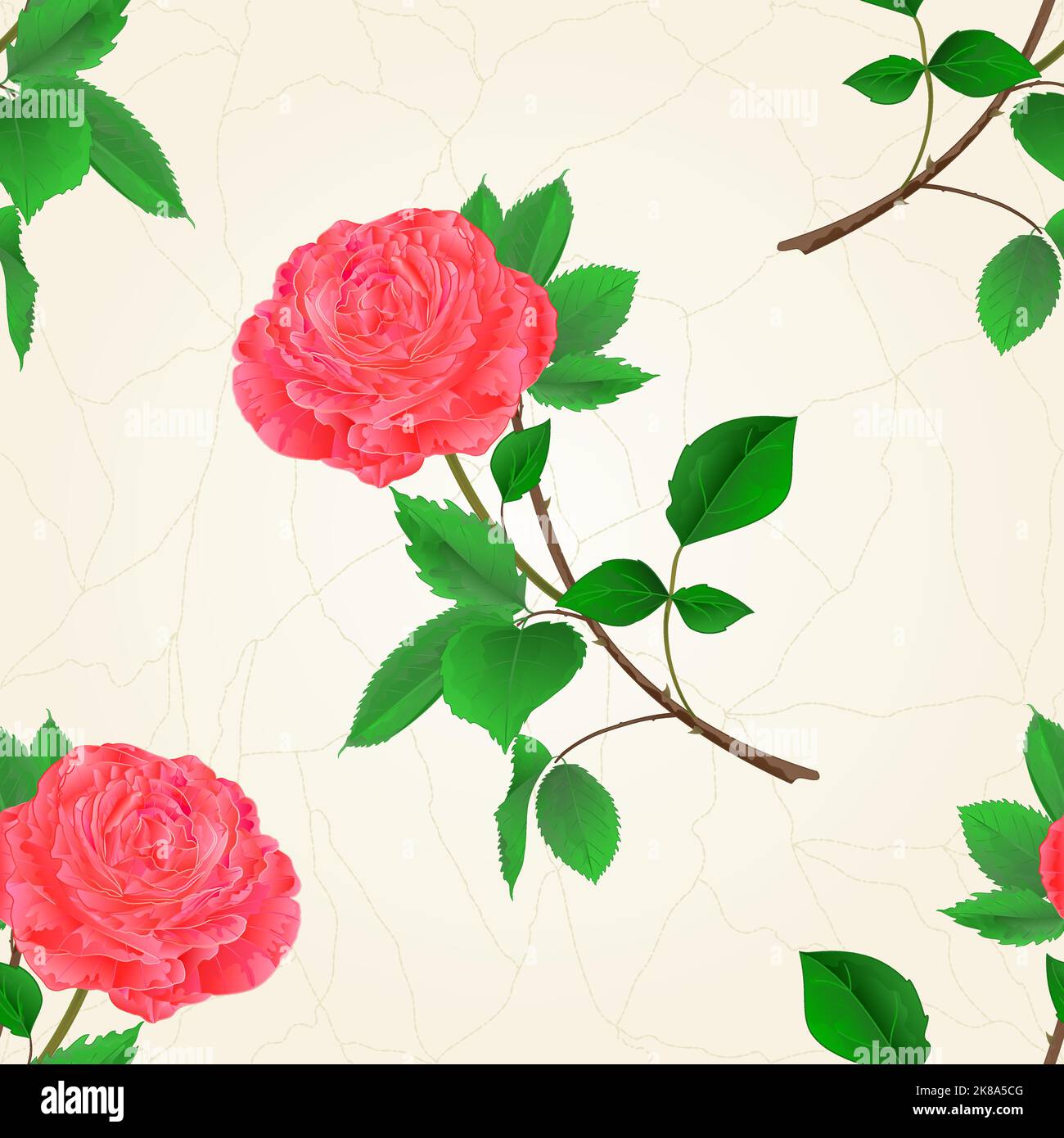 Seamless texture pink rose flower twig with leaves vintage vector botanical illustration for ...
