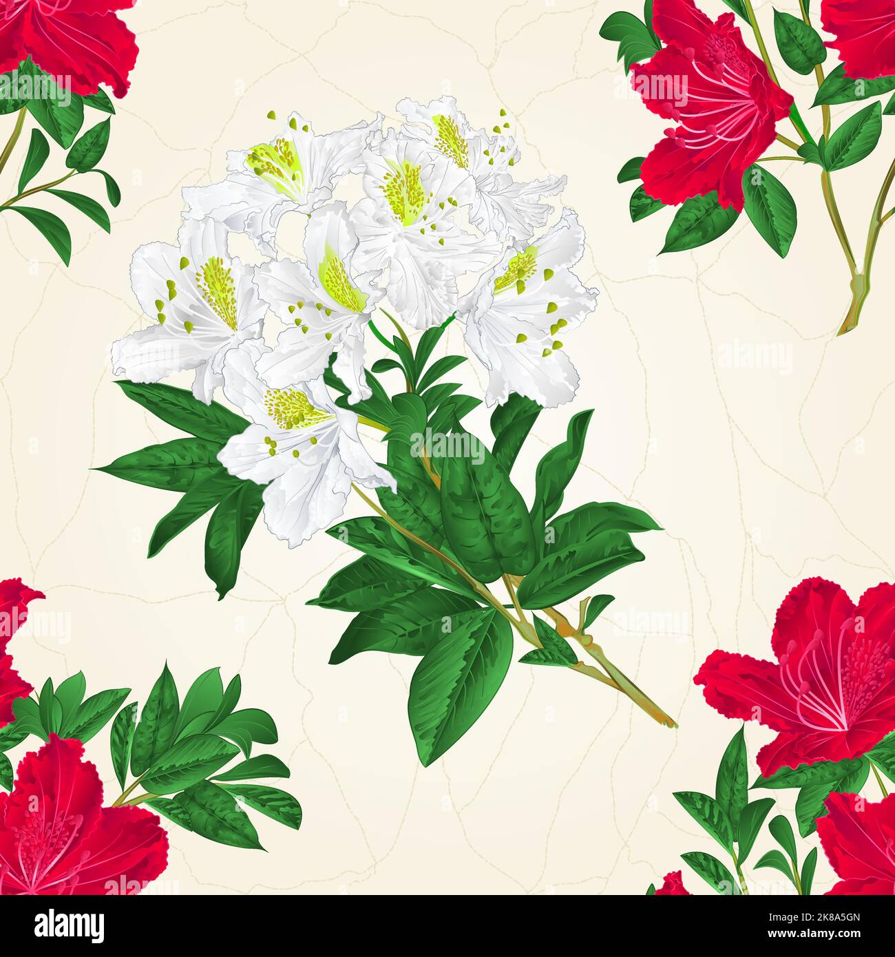 Seamless texture red and White rhododendron twig mountain shrub vintage ...