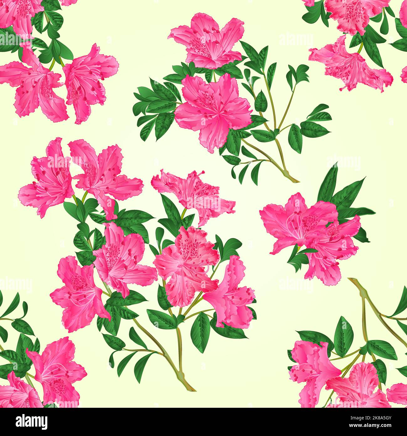 Seamless texture pink rhododendron twig with flowers and leaves ...