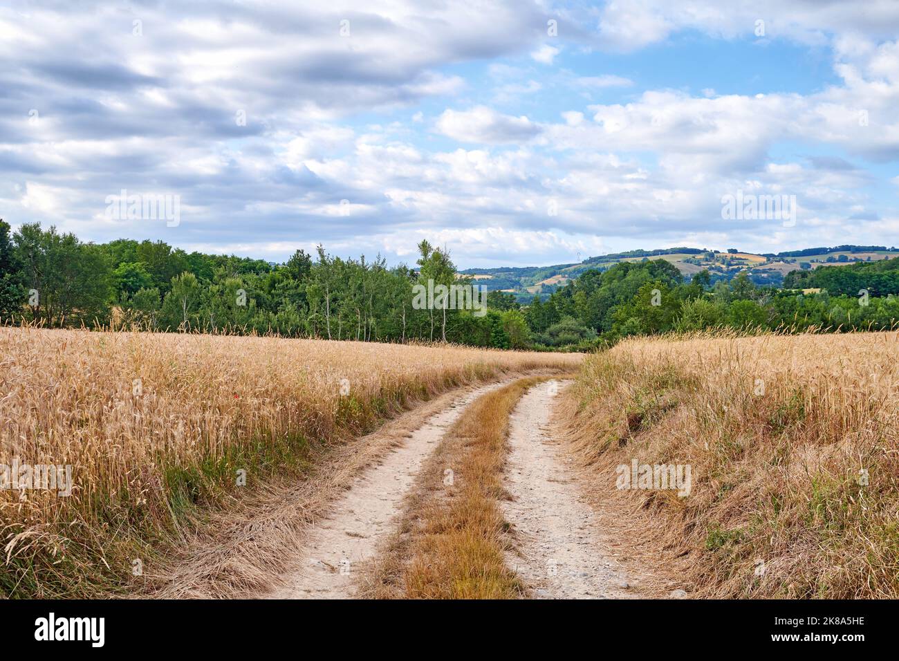Countryside, farmland and forest - close to Lyon, France. A series of ...