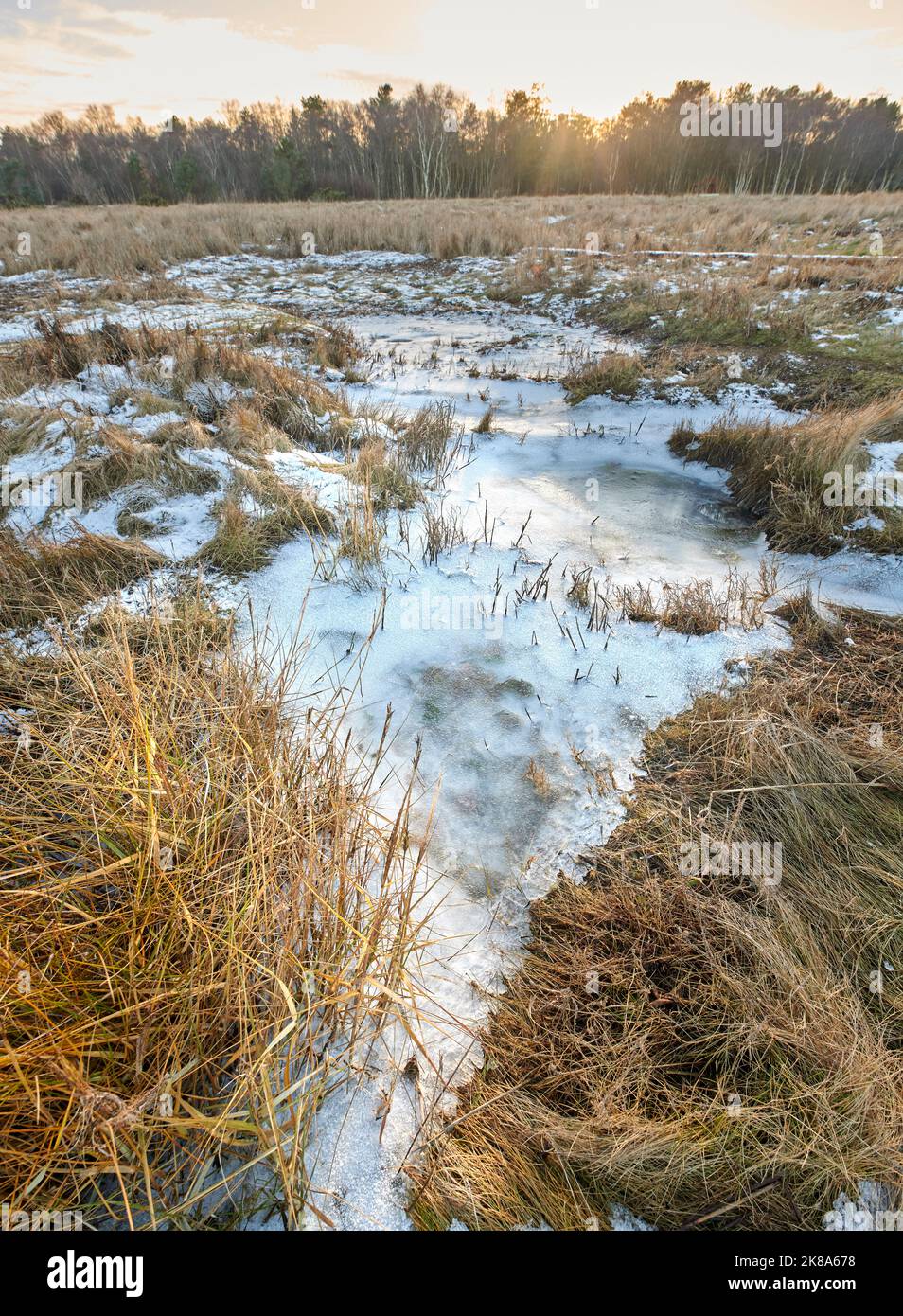 Danish Winter landscape by the coast of Kattegat. Photos of Danish ...