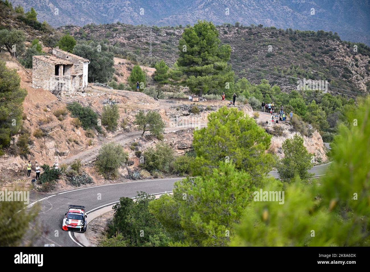 Elfyn EVANS ,Scott MARTIN , TOYOTA GAZOO RACING Stock Photo - Alamy