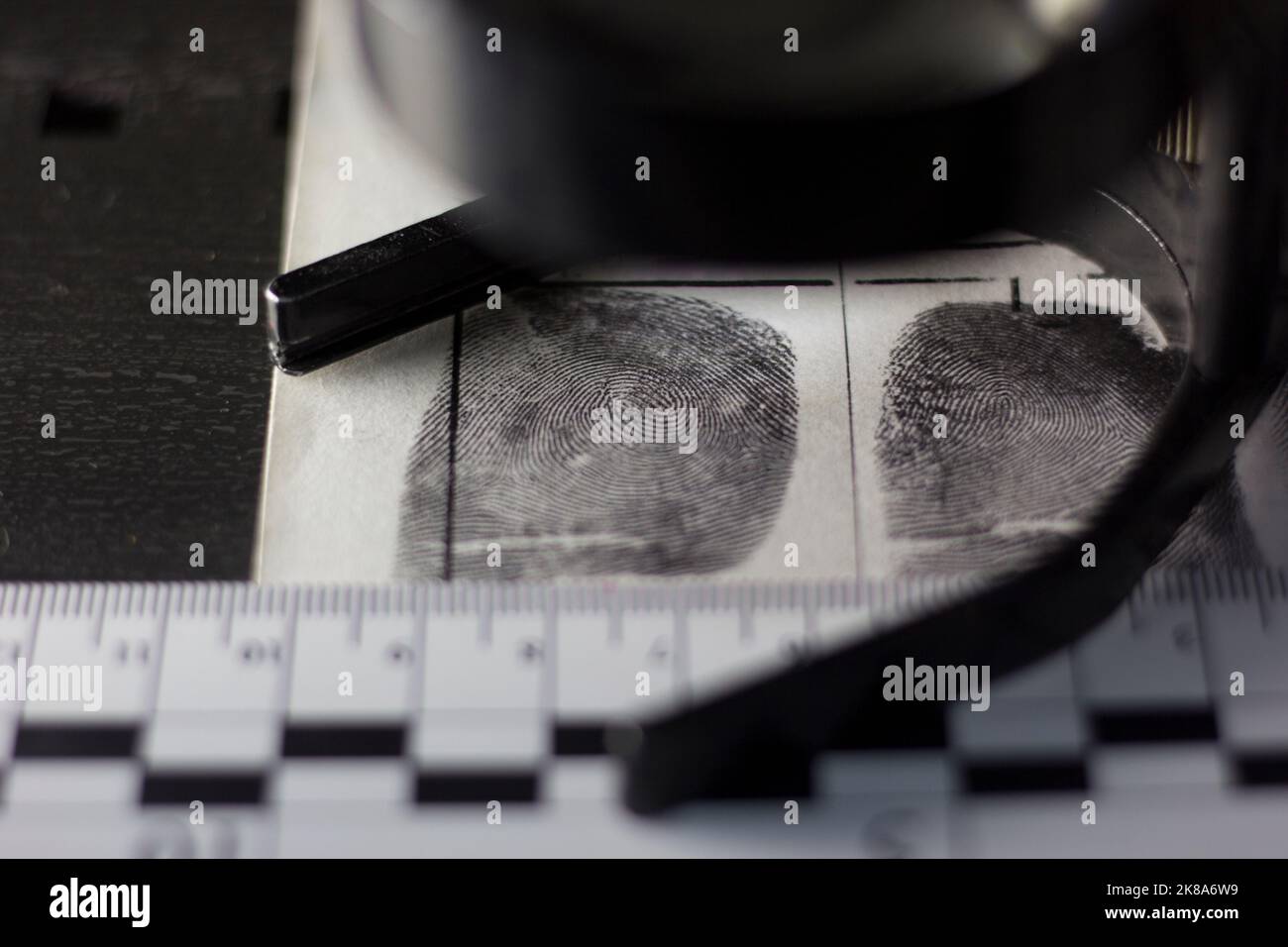 Forensic ruler hi-res stock photography and images - Alamy