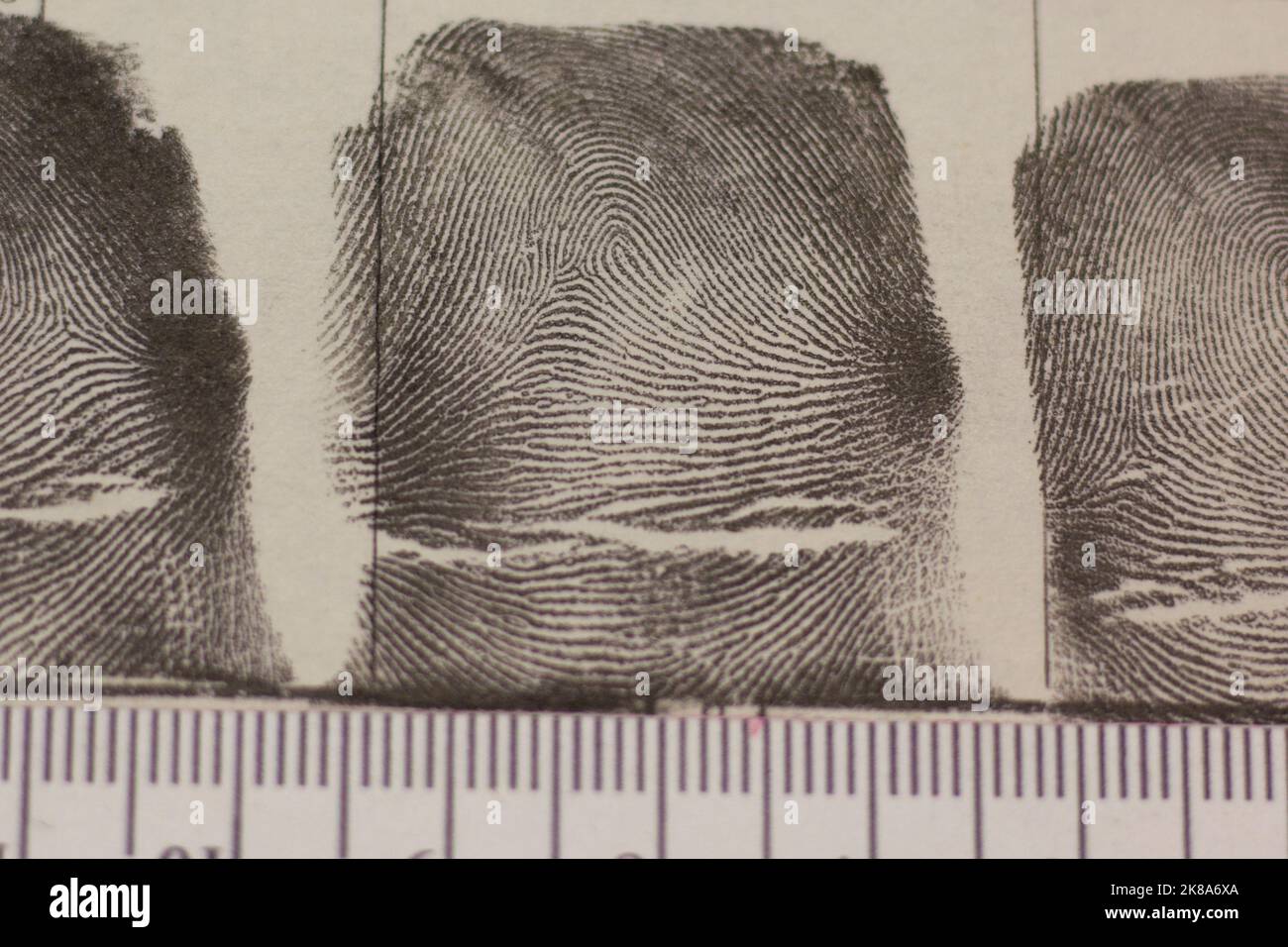 Fingerprints with forensic ruler close up Stock Photo - Alamy