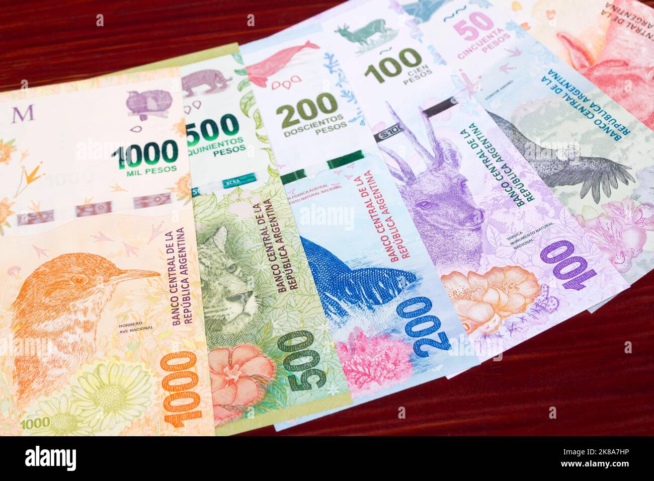 Argentine money - Peso a business background Stock Photo - Alamy