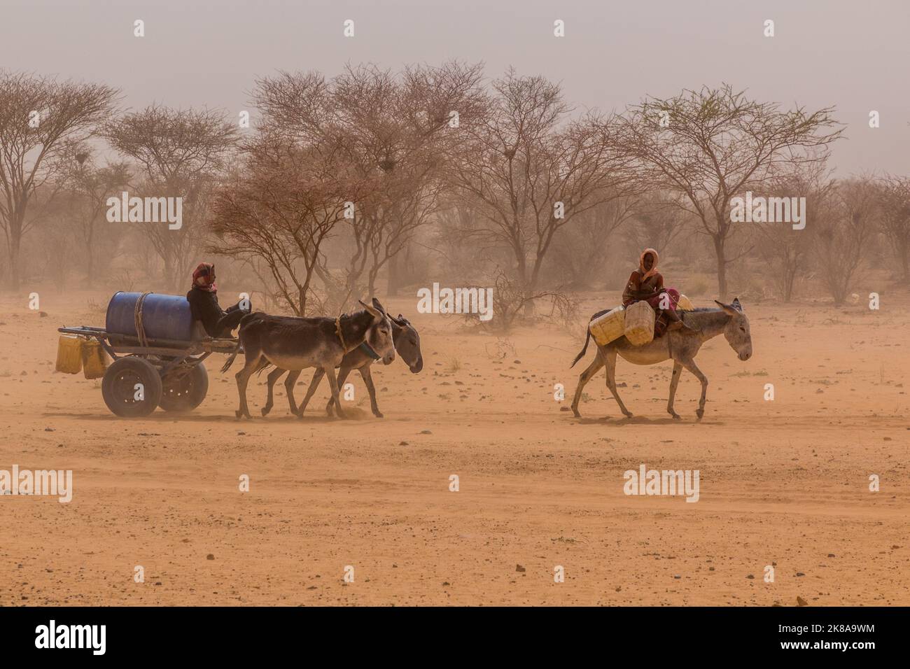 Sahel region africa water hi-res stock photography and images - Alamy