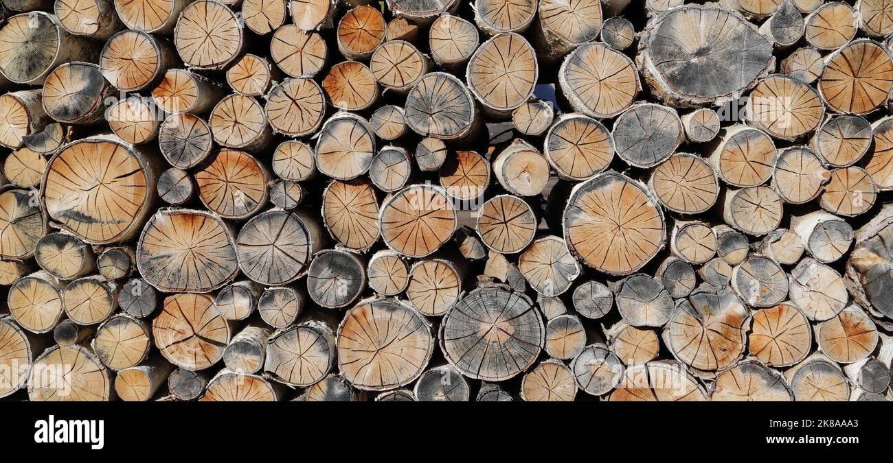 different round wooden disks as a background on a board Stock Photo - Alamy