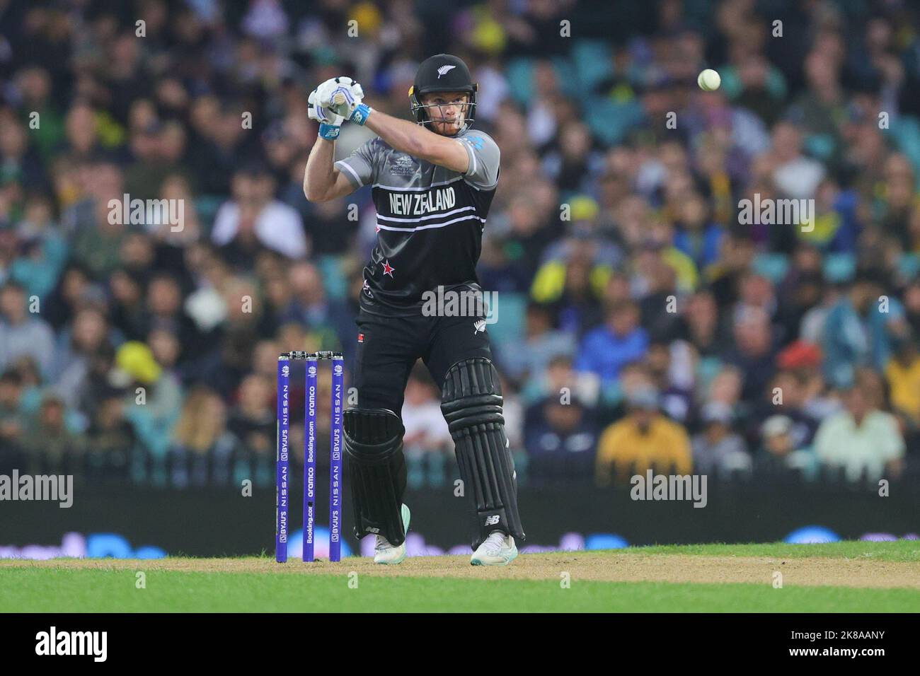 Glenn phillips new zealand hi-res stock photography and images - Alamy