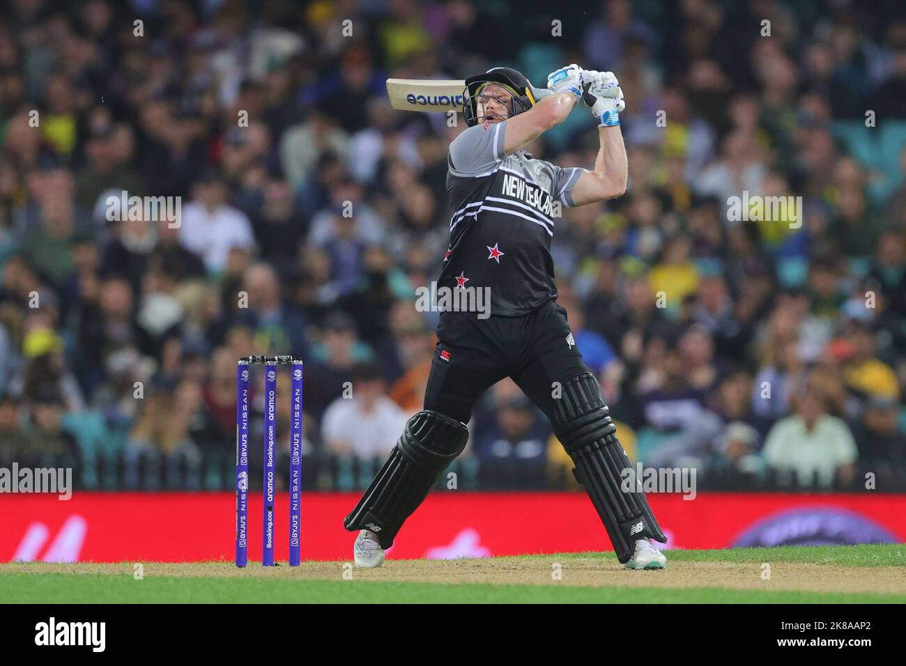 Glenn phillips new zealand hi-res stock photography and images - Alamy