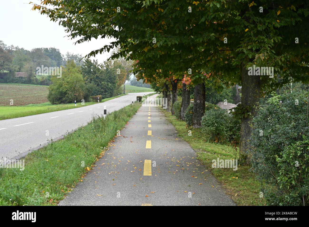 Two way cycle path hi-res stock photography and images - Alamy