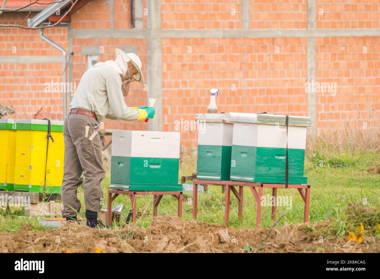A man looking at a beehive in a meadow. A man looking at a beehive in a ...
