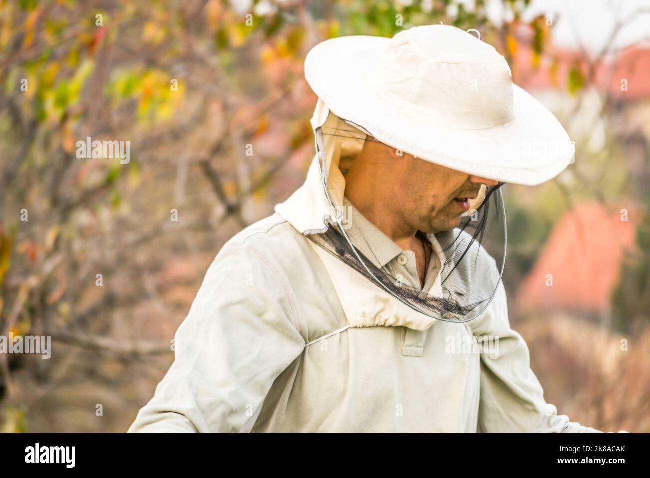 A man looking at a beehive in a meadow. A man looking at a beehive in a ...