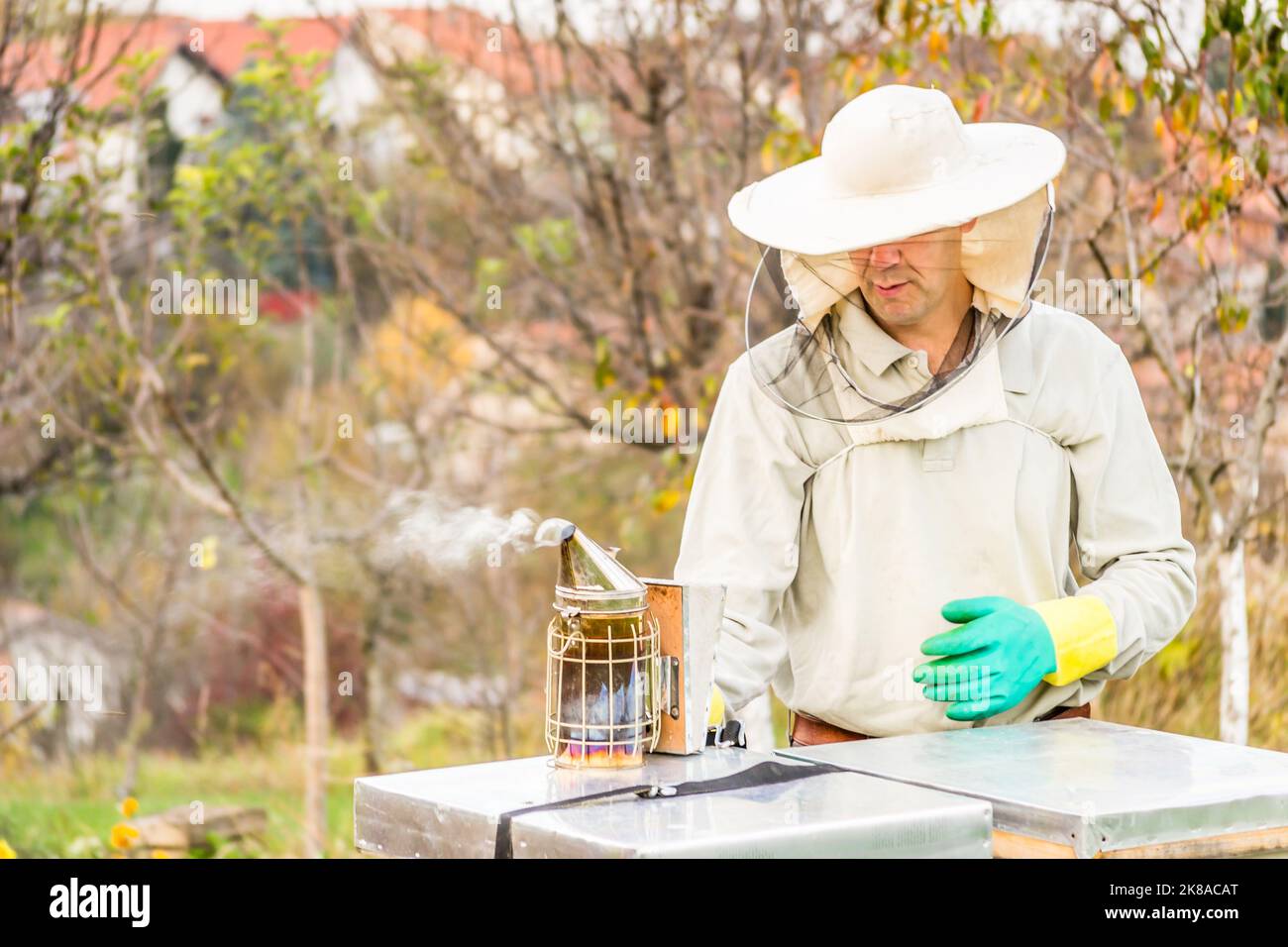 A man looking at a beehive in a meadow. A man looking at a beehive in a ...